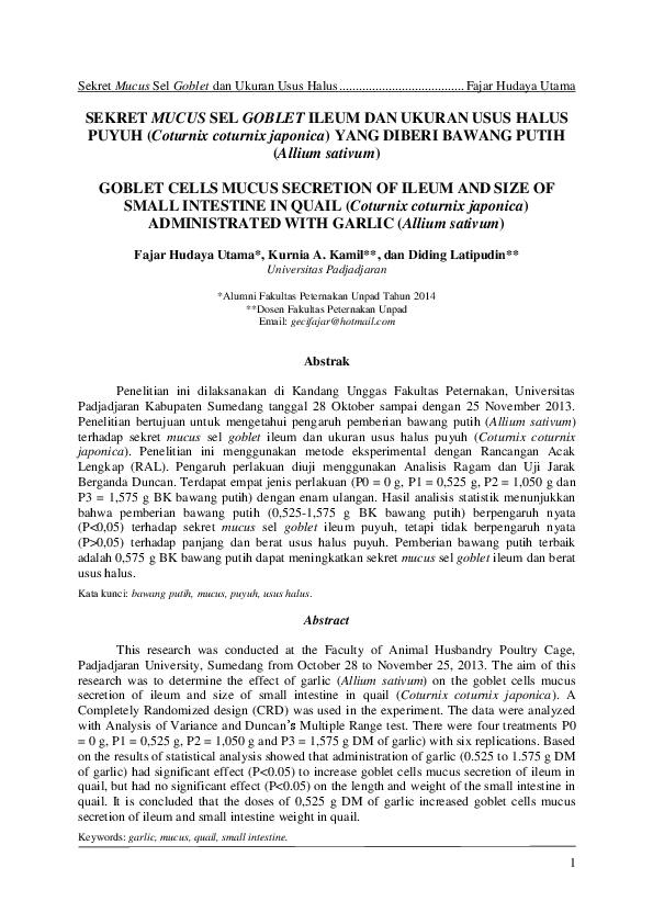 (PDF) SEKRET MUCUS SEL GOBLET ILEUM DAN UKURAN USUS HALUS PUYUH ...