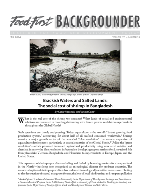 (PDF) Paprocki, Kasia and Jason Cons, Brackish Waters and Salted Lands ...