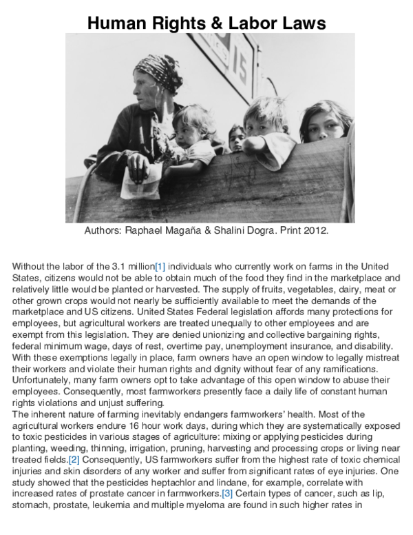 (PDF) Human Rights & Labor Laws in the U.S