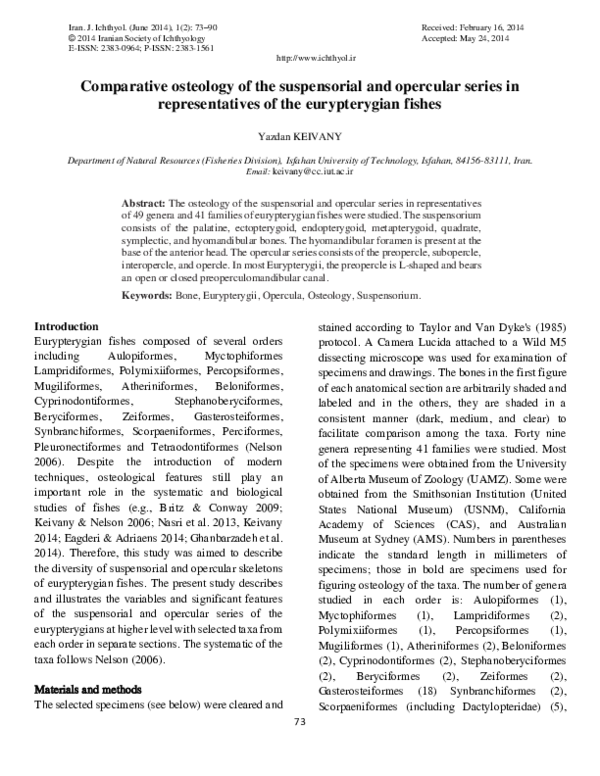 (PDF) Comparative osteology of the suspensorial and opercular series in ...