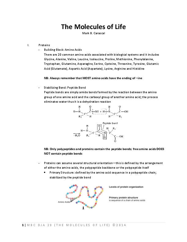 Pdf The Molecules Of Life