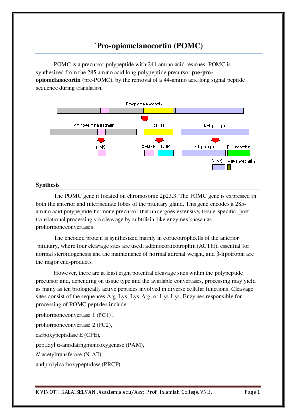 (PDF) POMC peptide family
