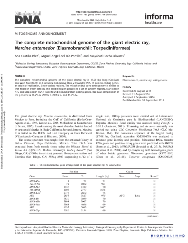(PDF) The complete mitochondrial genome of the giant electric ray ...
