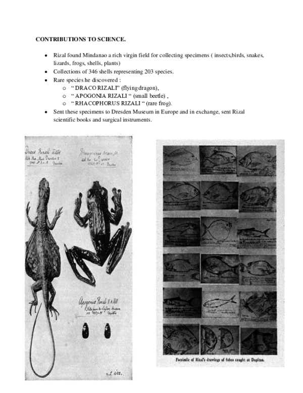 (DOC) RIZAL'S EXILE IN DAPITAN(PART II)