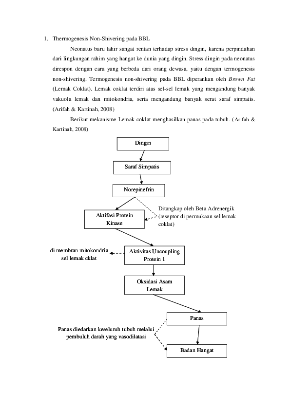 (DOC) Pathway Thermogenesis Lemak Coklat Neonatus