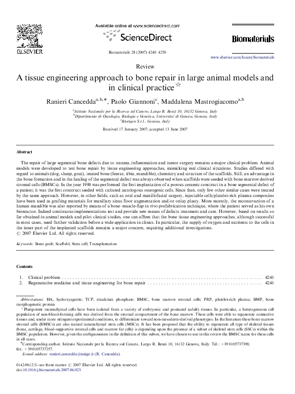 (PDF) A tissue engineering approach to bone repair in large animal ...