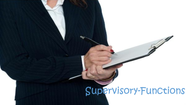 (PPT) Supervisory function
