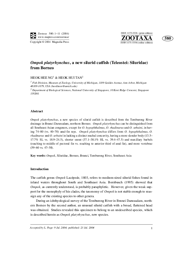 (PDF) Ompok platyrhynchus, a new silurid catfish (Teleostei: Siluridae ...