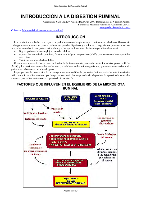 (PDF) Sitio Argentino de Producción Animal INTRODUCCIÓN A LA DIGESTIÓN ...