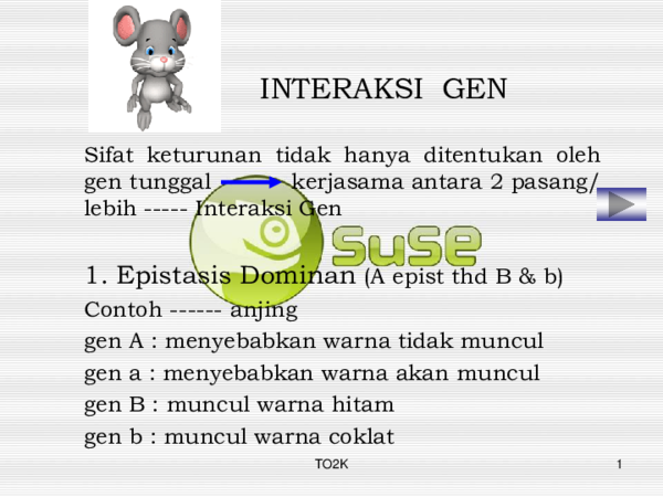 (PDF) interaksi gen 1