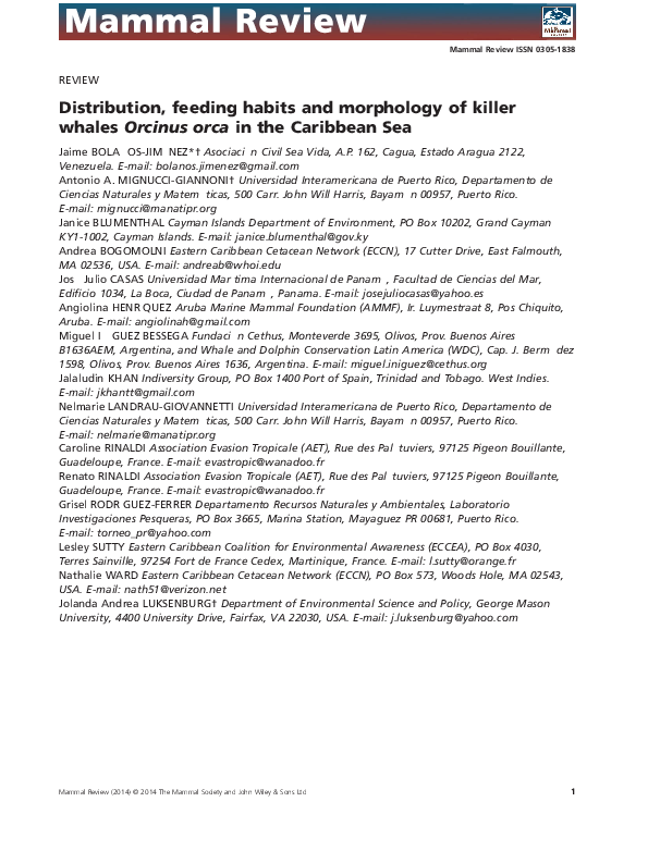 Pdf Distribution Feeding Habits And Morphology Of Killer Whales Orcinus Orca In The Caribbean Sea