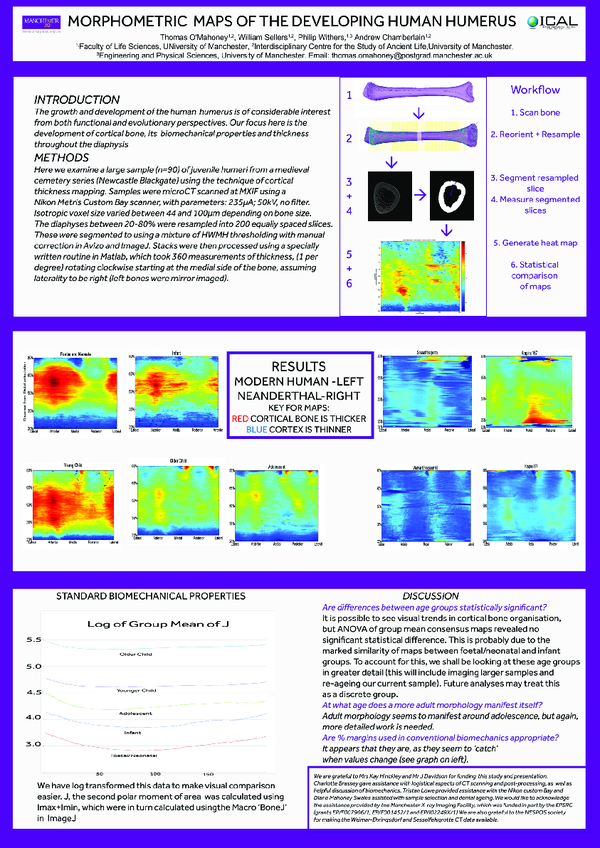 (PDF) Morphometric maps poster-ESHE 2014 (Florence)
