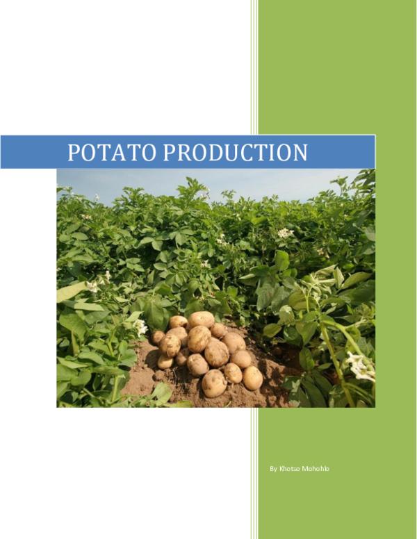 POTATO PRODUCTION