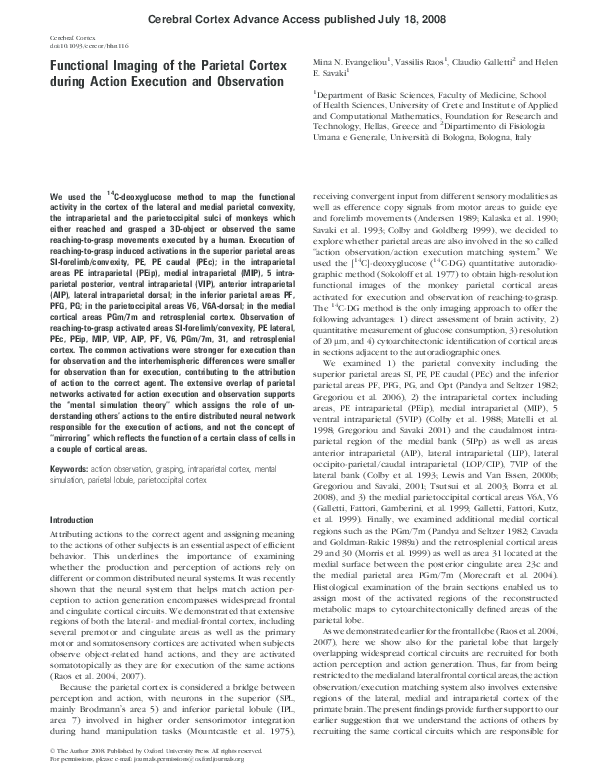 Pdf Functional Imaging Of The Parietal Cortex During Action Execution And Observation