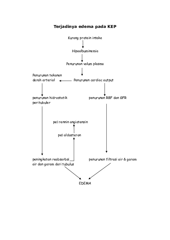 (DOC) Terjadinya edema pada KEP | lilis pratiwi - Academia.edu