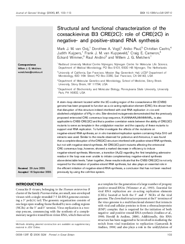 (PDF) Structural and functional characterization of the coxsackievirus ...