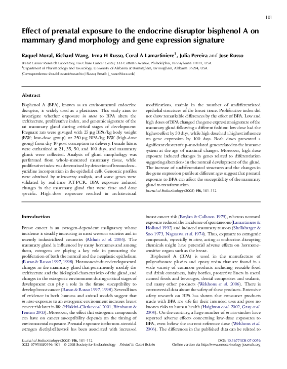 (PDF) Effect of prenatal exposure to the endocrine disruptor bisphenol ...