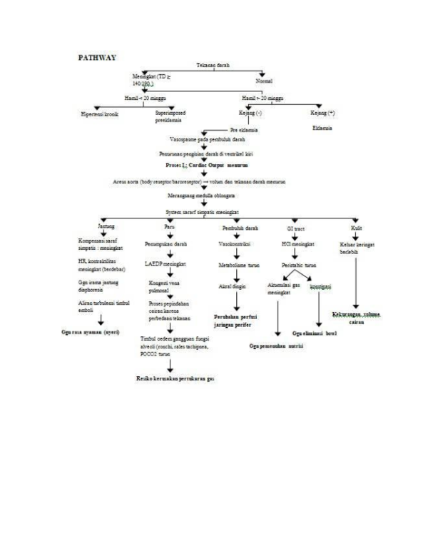 (DOC) Pathway ckd+chest pain