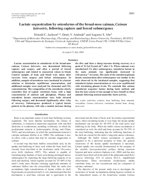 (PDF) Lactate sequestration by osteoderms of the broad-nose caiman ...