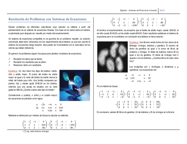 (PDF) Álgebra -Sistemas de Ecuaciones Lineales 2013