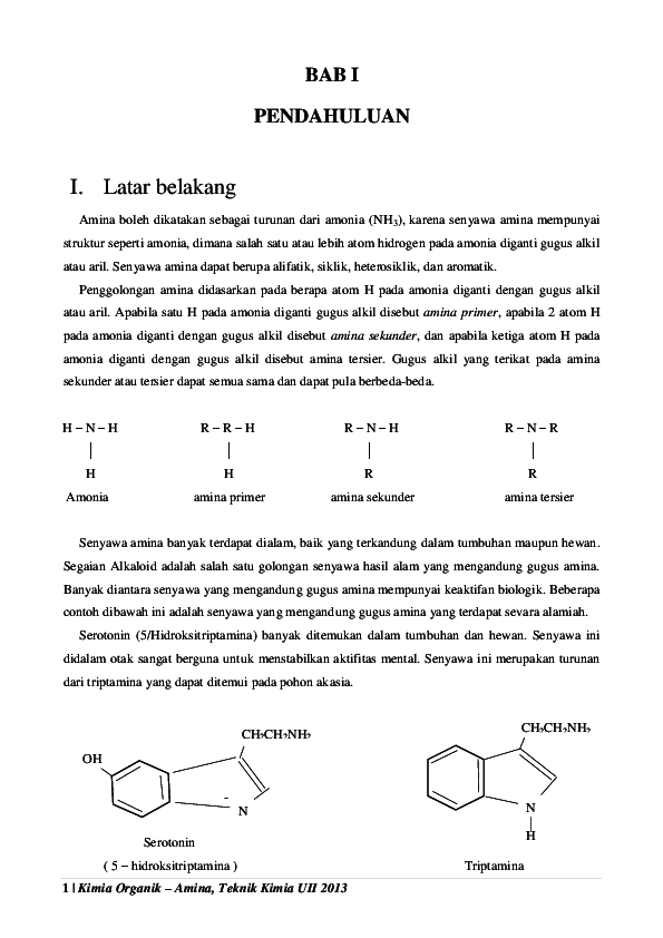 (DOC) Kimia Organik - Amina