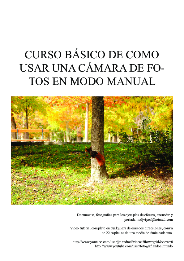 (PDF) CONOCIMIENTOS BÁSICOS