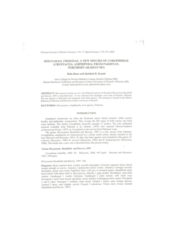 (DOC) HIRAYAMAIA TIRMIZIAE, A NEW SPECIES OF COROPHIIDAE (CRUSTACEA ...