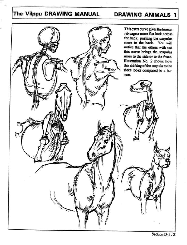 (PDF) Vilppu Animal Drawing
