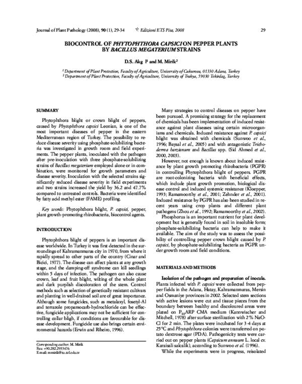 (PDF) BIOCONTROL OF PHYTOPHTHORA CAPSICI ON PEPPER PLANTS BY BACILLUS MEGATERIUM STRAINS