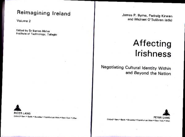 (PDF) Irish Multicultural Fiction: Metaphors of Miscegenation and ...