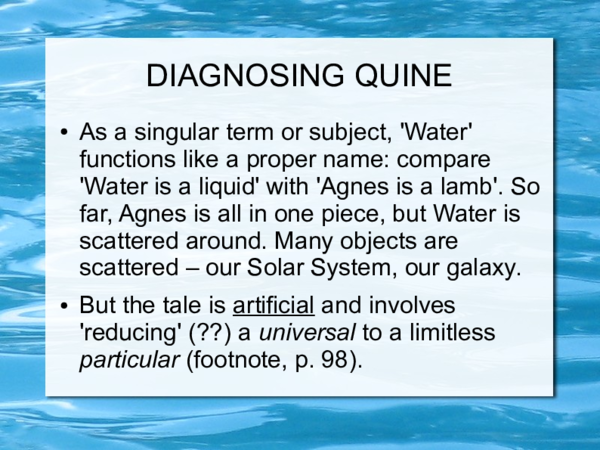 (2) Understanding Quine's Strange Story