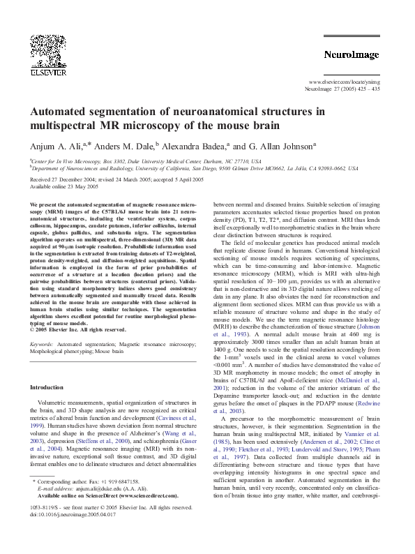 Pdf Automated Segmentation Of Neuroanatomical Structures In