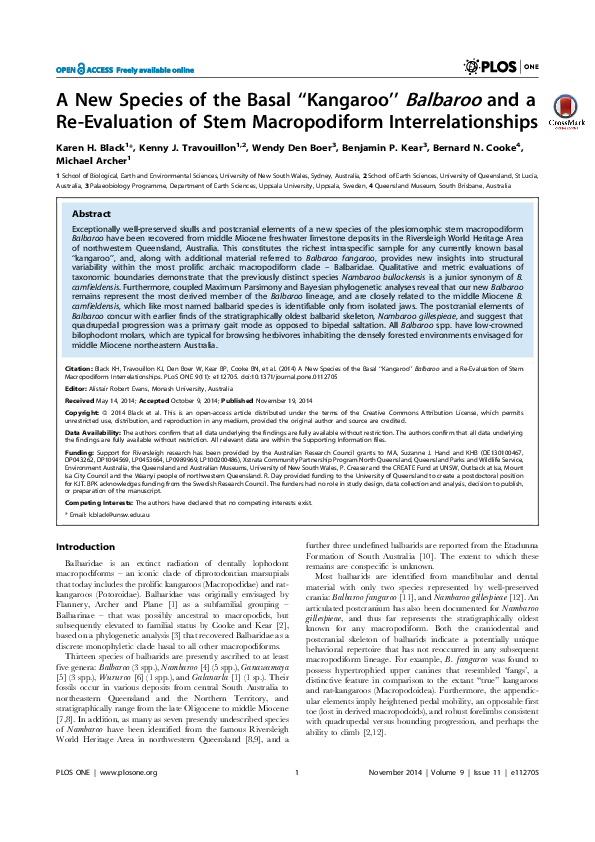(PDF) A new species of the basal “kangaroo” Balbaroo and a re ...