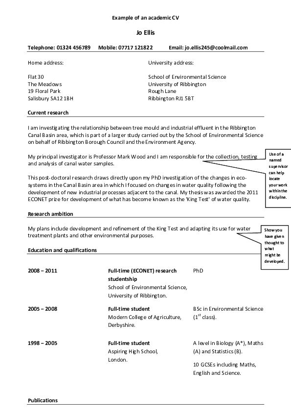 (PDF) Example of an academic CV