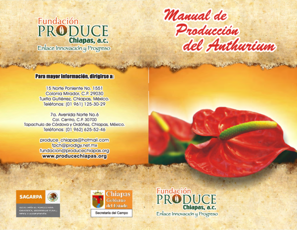 (PDF) Manual de Manual de Producción Producción
