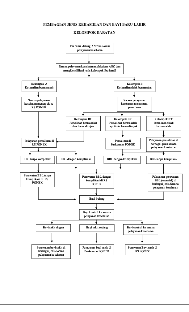 (DOC) PEMBAGIAN JENIS KEHAMILAN DAN BAYI BARU LAHIR