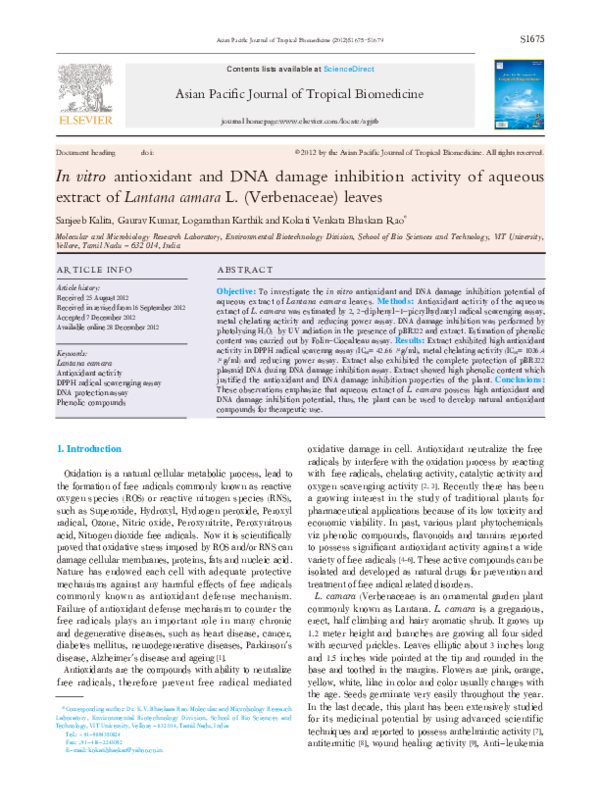 (PDF) In vitro antioxidant and DNA damage inhibition activity of aqueous extract of Lantana ...