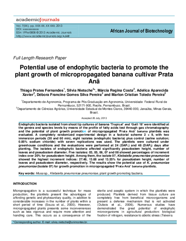 (PDF) Potential use of endophytic bacteria to promote the plant growth of micropropagated banana ...