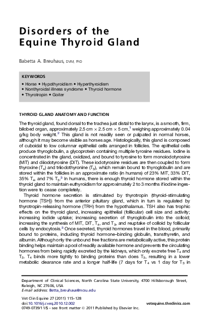 (PDF) Disorders of the Equine Thyroid Gland KEYWORDS Horse ...