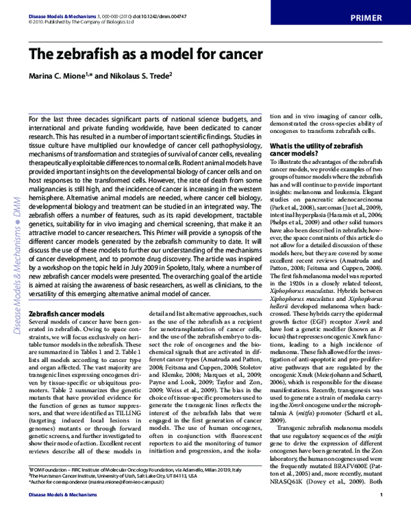 (PDF) Zebrafish Models for Cancer Research