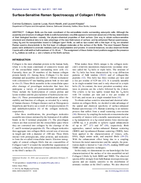(PDF) Surface-Sensitive Raman Spectroscopy of Collagen I Fibrils