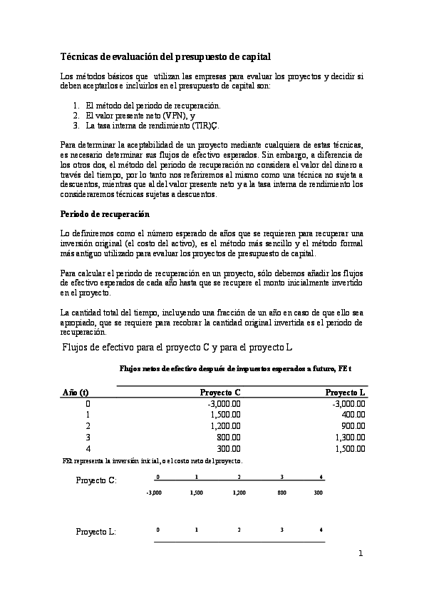 (DOC) Técnicas de evaluación del presupuesto de capital