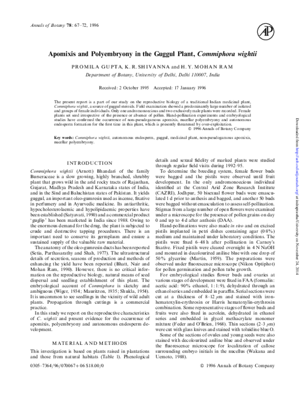 (PDF) Apomixis and Polyembryony in the Guggul Plant, Commiphora wightii