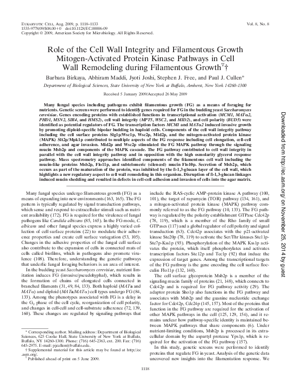 (PDF) Role of the Cell Wall Integrity and Filamentous Growth Mitogen ...
