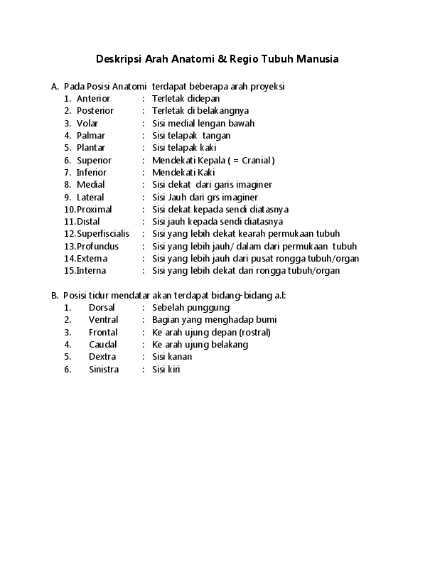 (PDF) anatomi tubuh manusia dan posisi