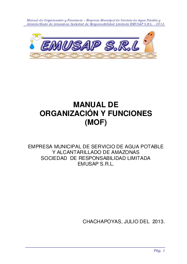(PDF) MANUAL DE ORGANIZACIÓN Y FUNCIONES (MOF