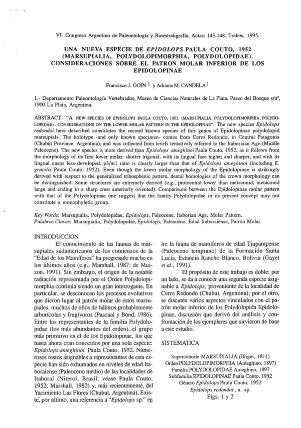 (PDF) Goin FJ, Candela AM (1995) Una nueva especie de Epidolops Paula ...