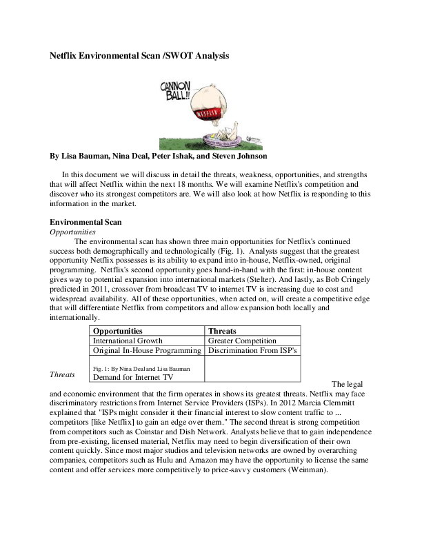 (DOC) Netflix Environmental Scan /SWOT Analysis