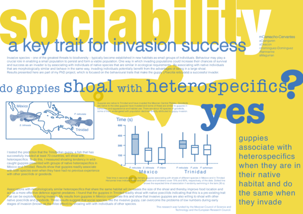 (PDF) Sociability, a key trait for invasion success