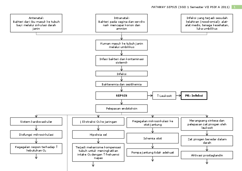 Sepsis Pathway